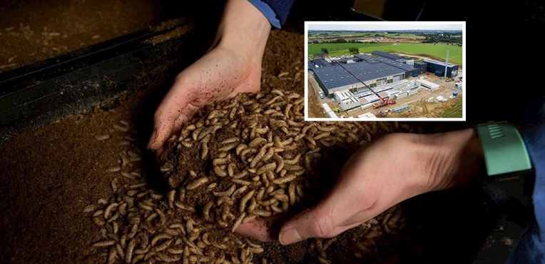 VILOFOSS® Deutschland - Feeding Success - VILOFOSS® Corporate